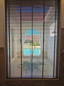 Sukoon Gah, Bedla (preços atualizados para 2026)