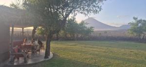 Lake Natron Maasai Boma-Unique Stay, Mtowabaga (precios actualizados 2026)