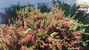 Injune Haven Motel, Injune (updated prices 2025)