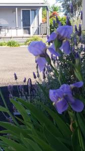 Injune Haven Motel, Injune (updated prices 2025)