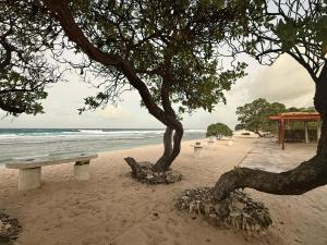 The Line Islands Resort, Cassidy International Airport (preus ...