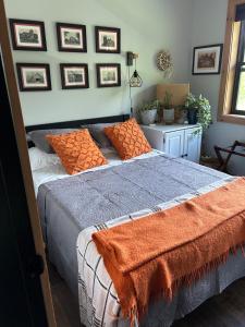 Dreamy Firefly Holler w Creek and Pond, Roan Mountain (preços ...