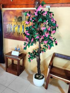 Hotel Aldea Cruzo'ob, Felipe Carrillo Puerto (giá cập nhật năm 2026)