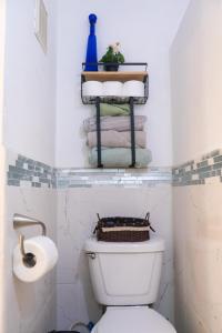 Vanda, São João (preços atualizados de 2026)