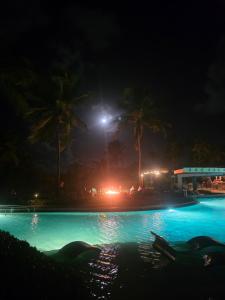 Gran Río Mar Rainforest Resort & Casino, Carmelita (atnaujintos 2026 m ...