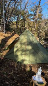 A Sleeping Forest, Ito (ažurirane cene za 2026. godinu)