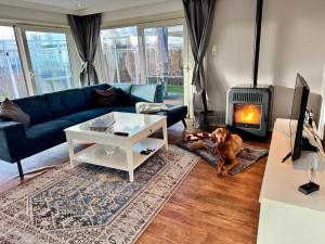 Breskens Chalet Maritim mit Zaun Haus Nr J267, Breskens (bijgewerkte ...