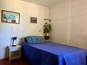 New House near Ovalle Trees and Large Patio, Ovalle (precios ...