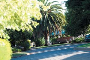 Murray Downs Resort, Swan Hill (updated prices 2025)