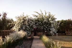 Bliss Terra Janna, Marrakech (updated prices 2026)