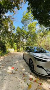 House Party of Lee, Ban Huai Sai (preços atualizados de 2026)