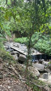 House Party of Lee, Ban Huai Sai (preços atualizados de 2026)