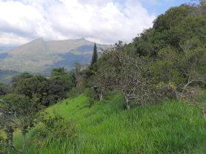 Posada San Jorge, Pacho (tarifs actualisés, 2026)