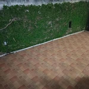 Ivy Walls Inn, Port-d'Espagne (tarifs actualisés, 2026)