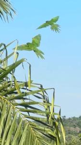 Casa ampla perto da Praia, Lagoa e Cachoeira, Maricá (precios ...