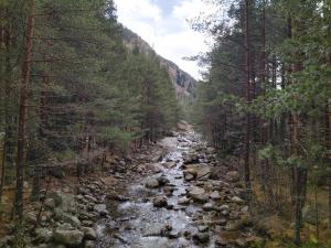 Sunny Studio Eagle Rock, Beli Iskar (prezzi aggiornati per il 2026)