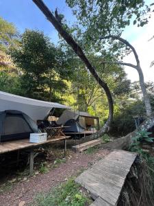 Chốn trong rừng, Dalat (uppfærð verð fyrir árið 2026)