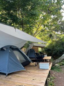 Chốn trong rừng, Dalat (uppfærð verð fyrir árið 2026)