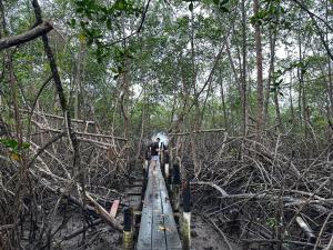 Hotel del Mar, Tumaco (prezzi aggiornati per il 2026)