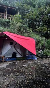 Red Tent, Tzununá (preços atualizados para 2026)