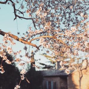 La Saracina, Pienza (updated prices 2026)