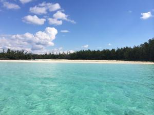 Green Turtle Club Resort & Marina, Green Turtle Cay (updated prices 2024)
