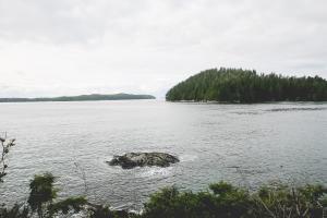 Duffin Cove Resort, Tofino (updated prices 2025)