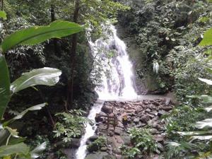 La Palapa Ecolodge, Portalón (updated prices 2025)