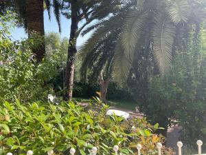 Spacious flat - Calm & AC, Nice (opdaterede priser for 2026)