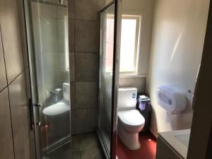 Geeky Gecko Backpackers, Dunedin (tarifs actualisés pour 2026)