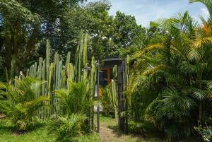 Áurea Tropical Oasis with Private Jacuzzi in Cerritos, Pereira (precios ...