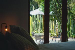 Áurea Tropical Oasis with Private Jacuzzi in Cerritos, Pereira (precios ...