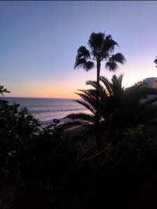 Águila Beach Bungalow with Garden & Pool, San Bartolomé (tarifs ...