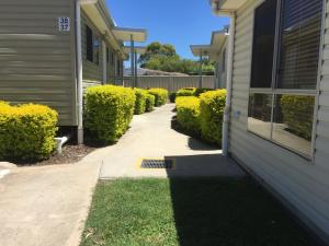 Springsure Overlander Motel, Springsure (updated prices 2025)