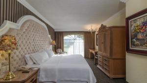 Holiday Inn Queretaro Centro Historico by IHG, Querétaro (precios ...