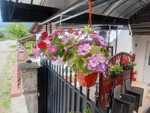 ,,Dor de Munte,, Casuta nr 25 -Complex de Pensiuni si Casute la Munte ...
