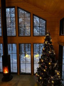 Snow&Pine Log Cabin Levi with Sauna & Hot Tub, Kittilä (opdaterede ...