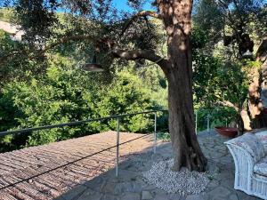 Limolivo, Sorrento Coast Country House by the Sea, Marciano (updated ...