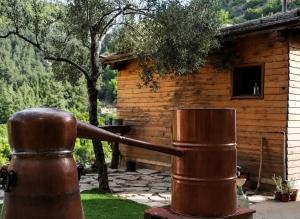 Cave 2000 - Rustic Breakfast & Dining Available, Al Ghīnah (prețuri ...