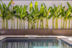 Tropical 1BR Villa with Private Pool Felix Berawa, Kerobokan (updated ...