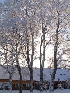 Mokko Country Hotel, Palamuse (updated prices 2025)