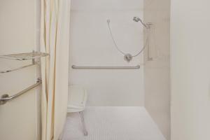 Microtel Inn & Suites by Wyndham Holland, Holland (updated prices 2025)