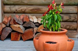 Ti-Tree Village, Ocean Grove (updated prices 2025)