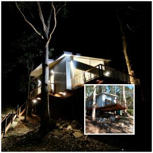 The Tree House, Denmark (updated prices 2025)