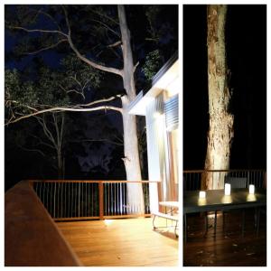 The Tree House, Denmark (updated prices 2025)