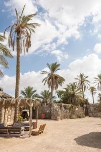 Kfar Hanokdim - Glamping & Camping, Arad (updated prices 2025)