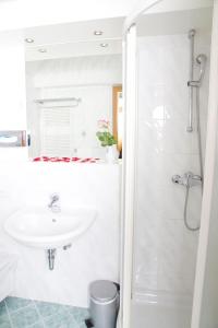 Guesthouse Avsenik, Begunje na Gorenjskem (updated prices 2025)