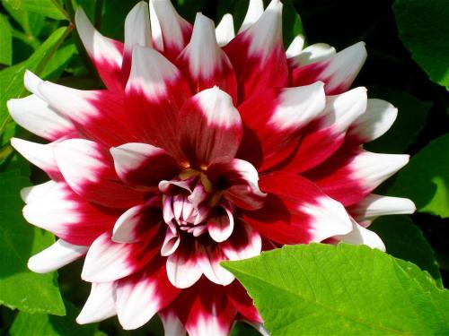 Millbrook Country House, Millbrook (updated prices 2025)