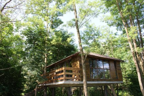 Porumbacu Treehouse, Porumbacu de Sus (updated prices 2024)
