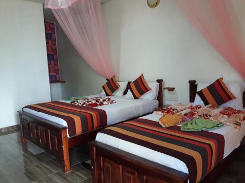 Ella Infinity View, Ella